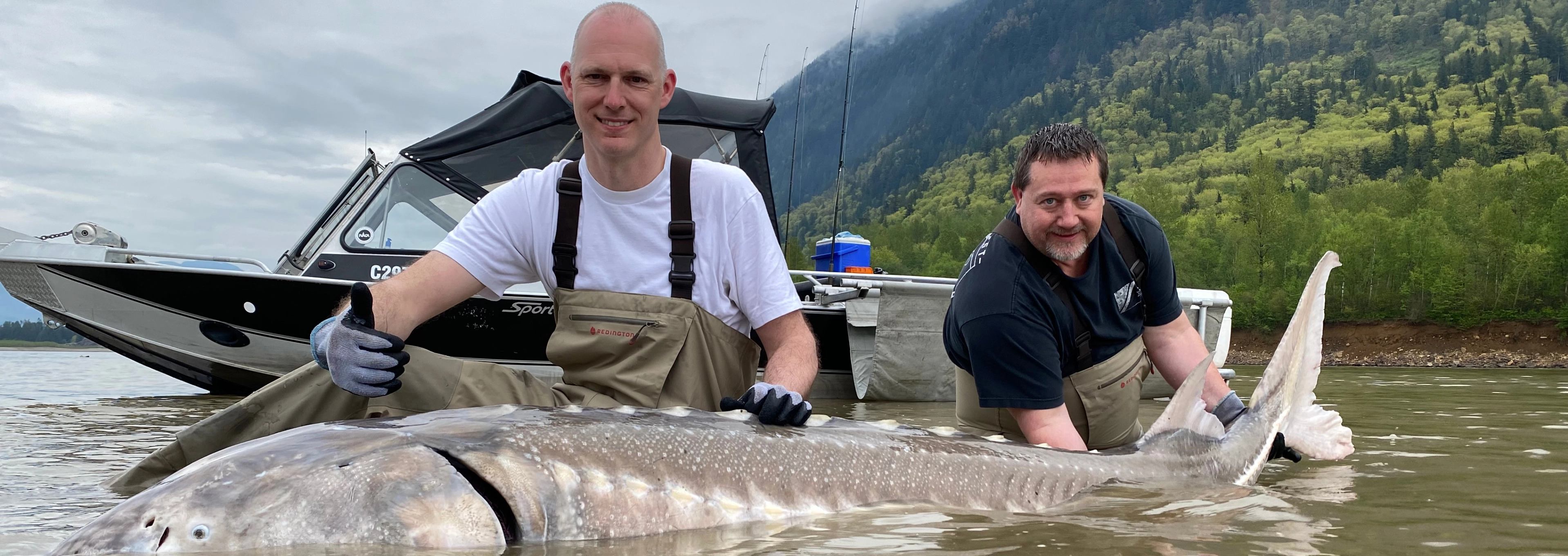 Mount Cheam Sturgeon Sport fishing - Book your trip